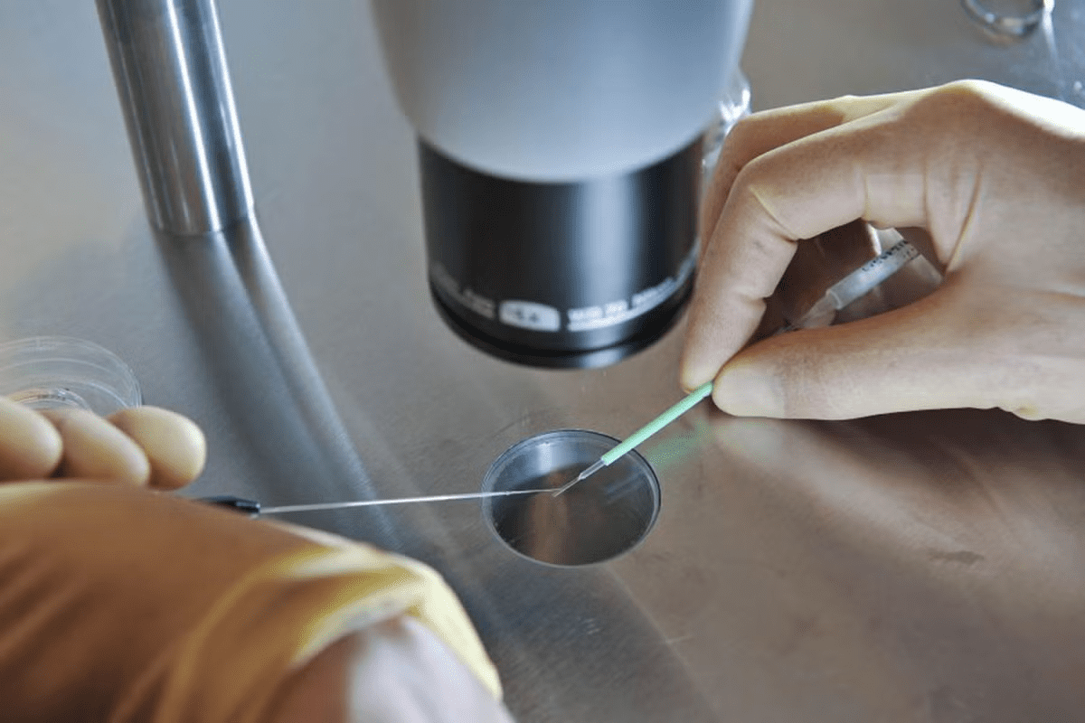 The Purpose of birth control prior to ivf Stimulation - Liv Hospital