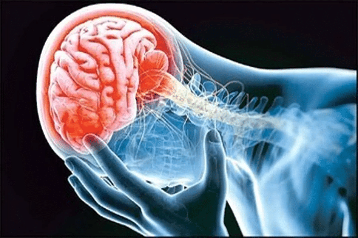 Brain Injury Symptoms: Best Vital Info - Liv Hospital