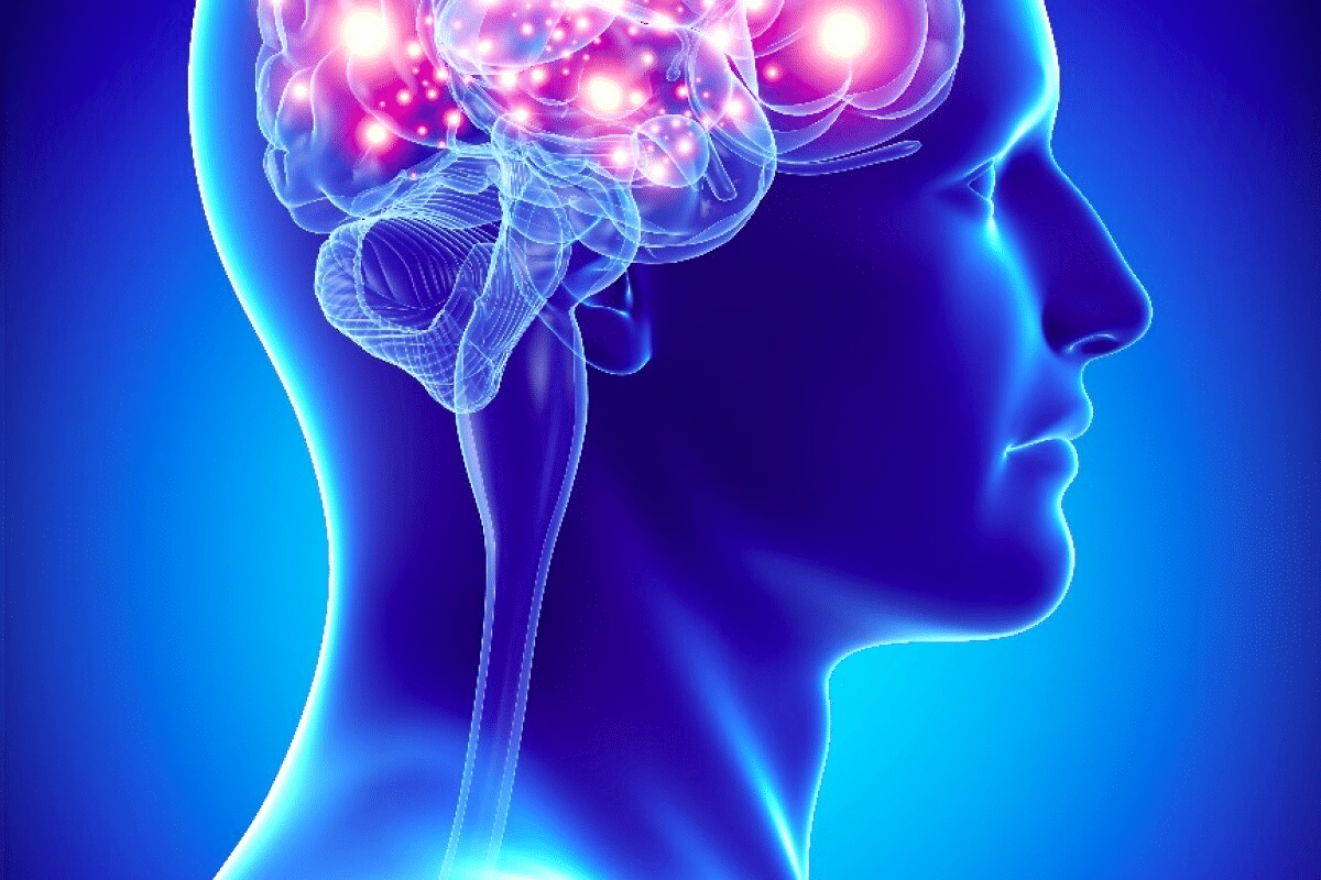 Brain Cells or Brain Cells: Best Facts - Liv Hospital