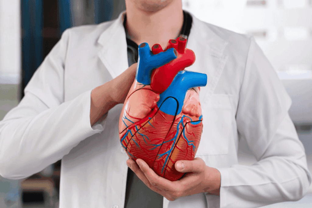 Insightful Treatment For Lower Back Pulled Muscle Guide - Liv Hospital