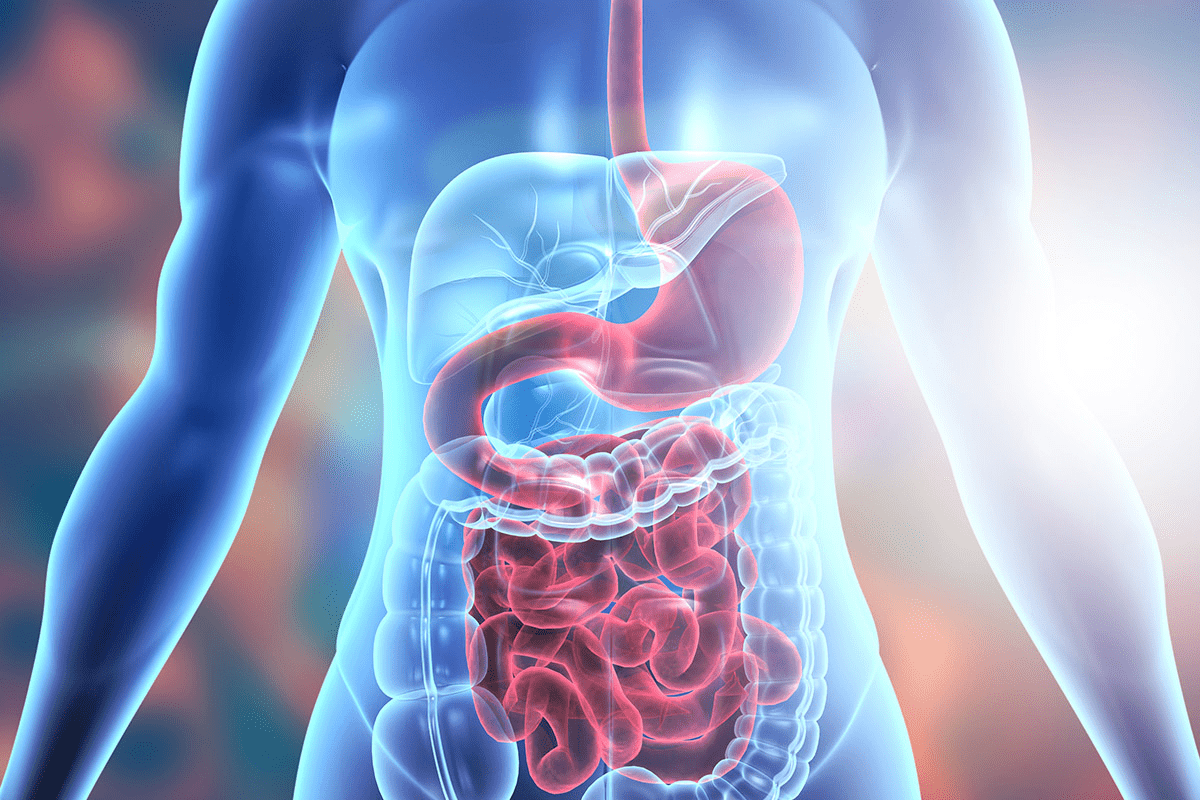 Chronic Constipation Symptoms: 7 Alarming Signs - Liv Hospital